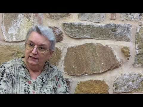 Associate of Science In Nursing Degree: Becky And The College Network
