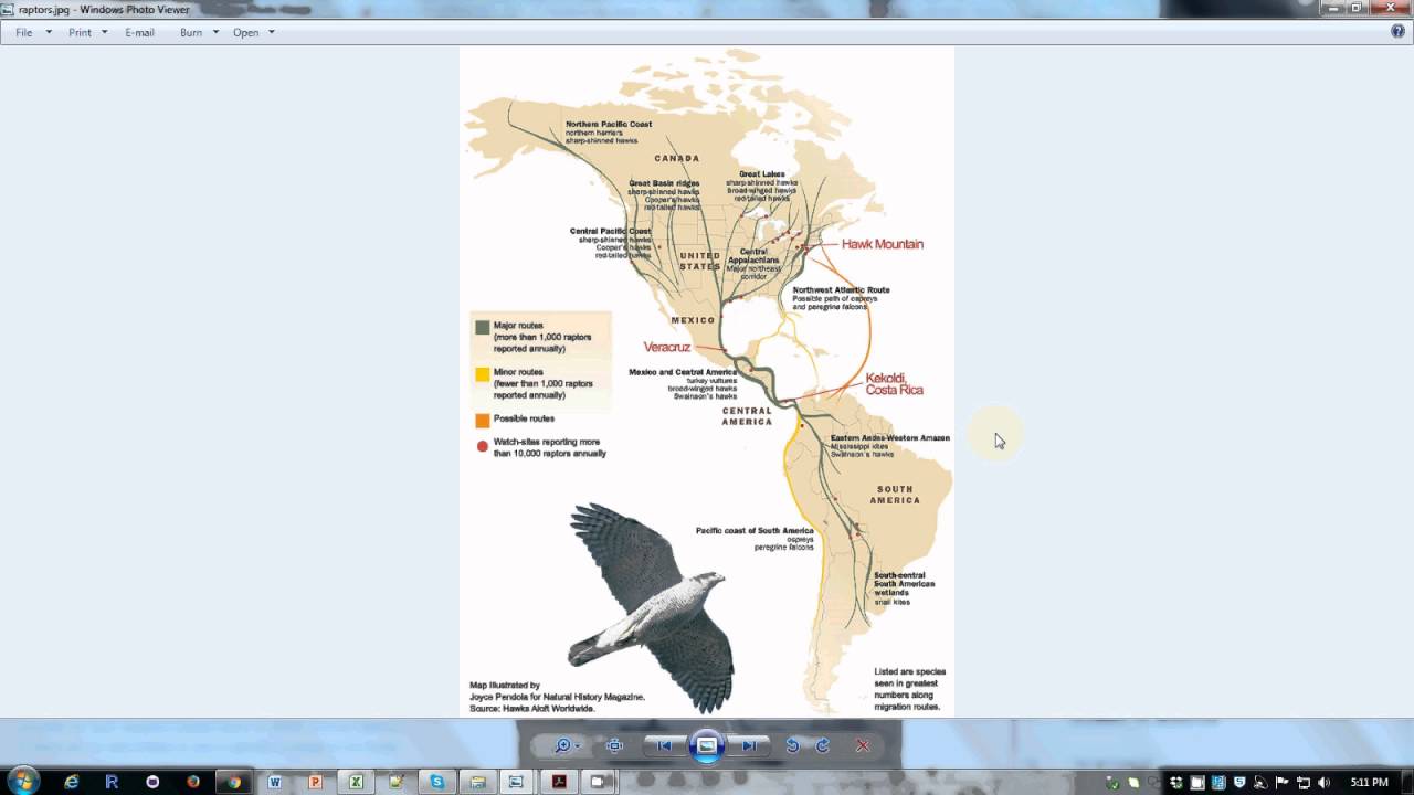 Story Map   MigratoryBirds   2