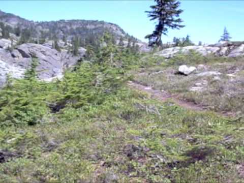 Glacier Tarns to Glacier Lake