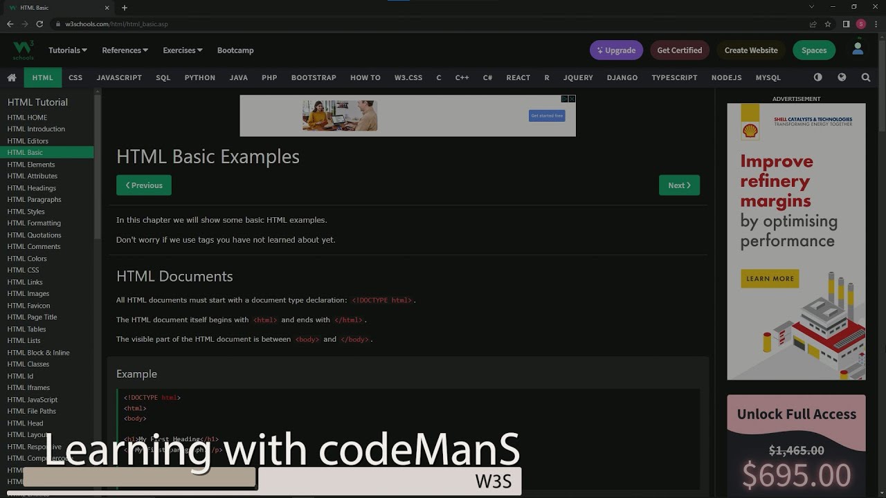 (SCRAPPED) Master HTML with W3Schools: HTML Basic Examples
