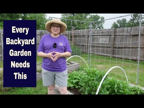 My Favorite Garden Trellis: Growing Vegetables Vertically
