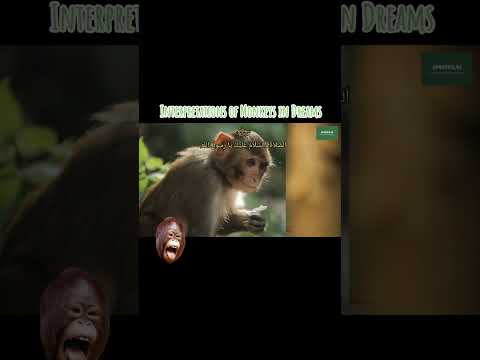Interpretations of Monkeys in Dreams