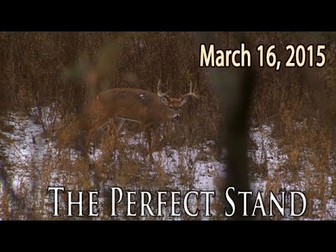 Midwest Whitetail | Locating the Perfect Stand for Deer Hunting