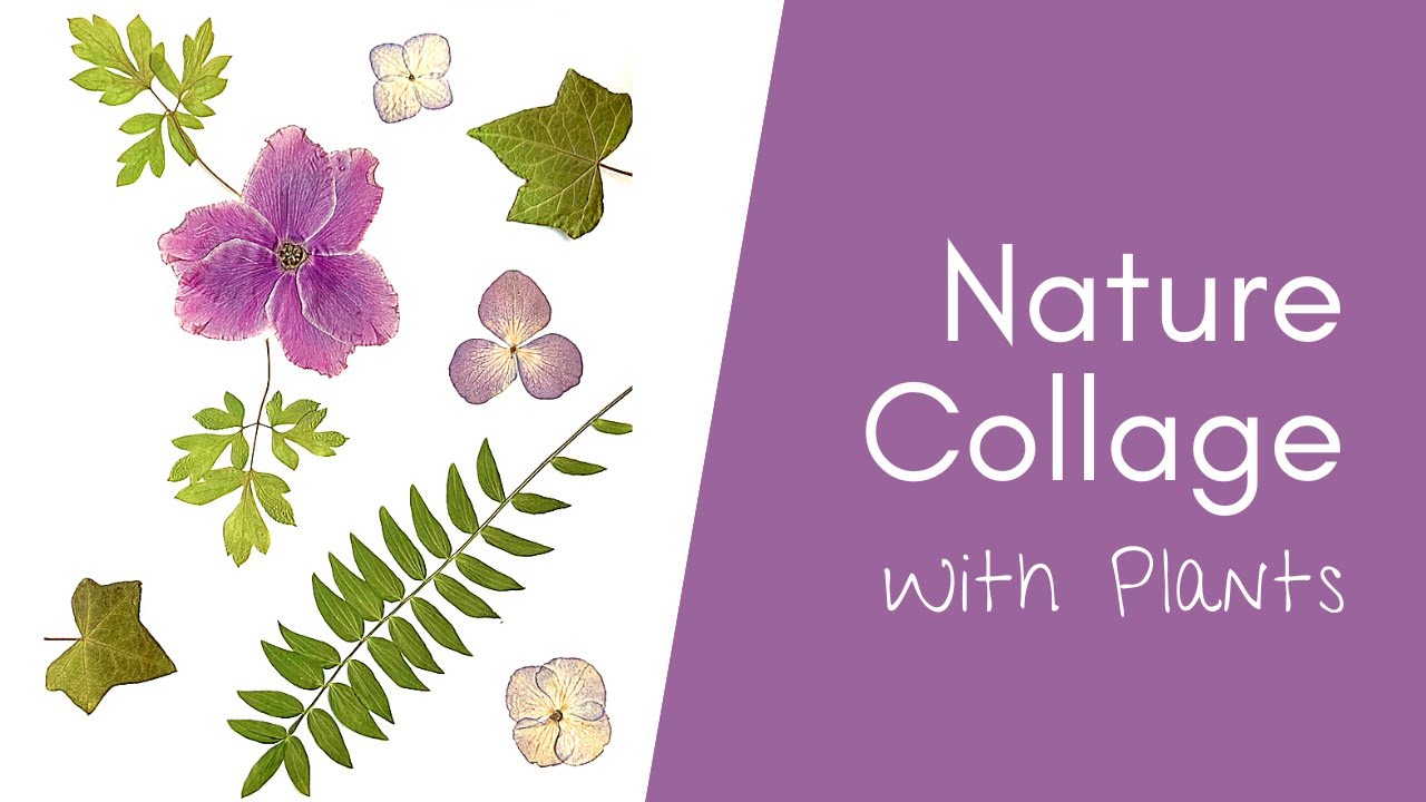 Video Art Lesson: Nature Collage | Richmond Art Gallery | Richmond, BC ...