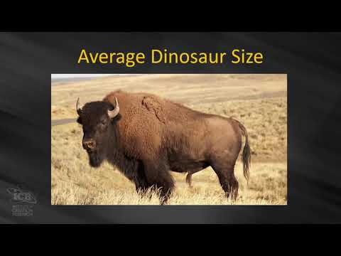 Service 8-8-2021-2-Dr Tim Clarey-The Institute for Creation Research-Do Dinosaurs Support Evolution?