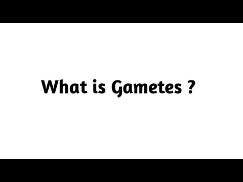 What is Gametes ?