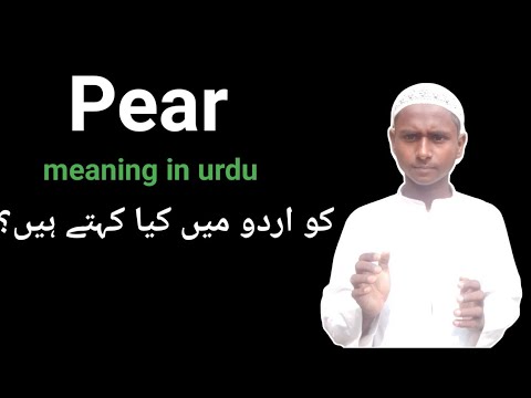 pear meaning in urdu। Pear ko urdu me kya kahte hai।