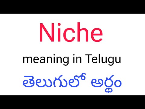 Niche meaning in telugu || Niche తెలుగులో అర్థం || Niche telugu meaning || Niche meaning