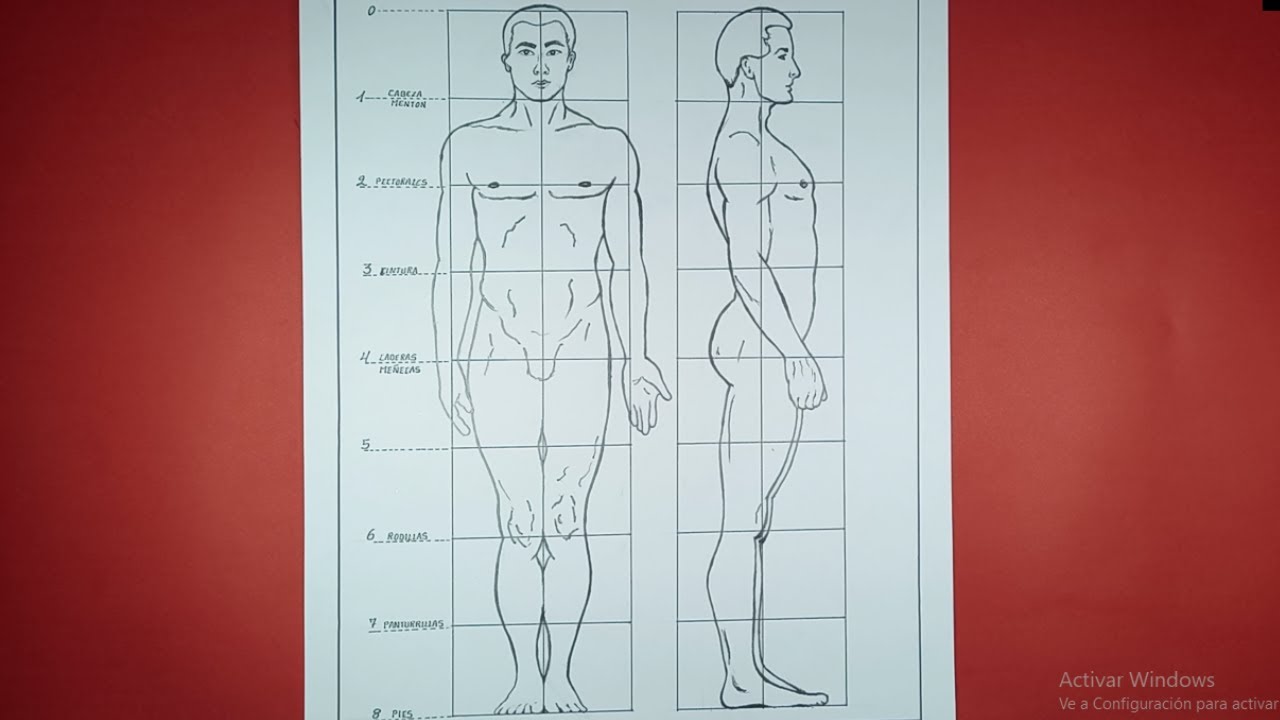 PROPORCIONES DE LA FIGURA HUMANA (Masculino)