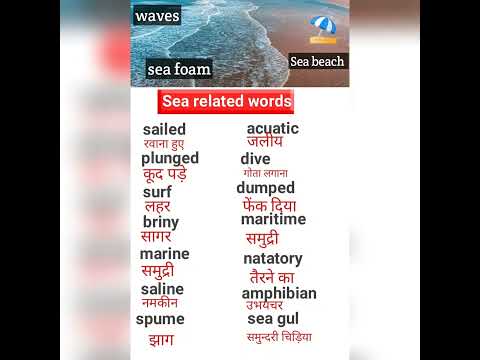 Sea | sea related words|basic words|#basicwords
