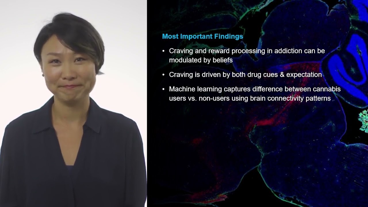 Research Spotlight: Xiaosi Gu, PhD