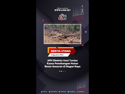 APH Diminta Usut Tuntas Kasus Penebangan Hutan Besar-besaran di Nagan Raya