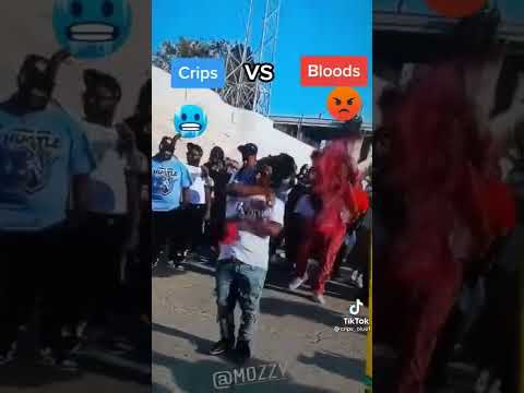 bloods vs crips