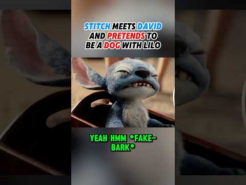 STITCH meets DAVID Clip! Disney Pixar LIVE ACTION Lilo & Stitch! Hawaiian Beach Movie Scene!