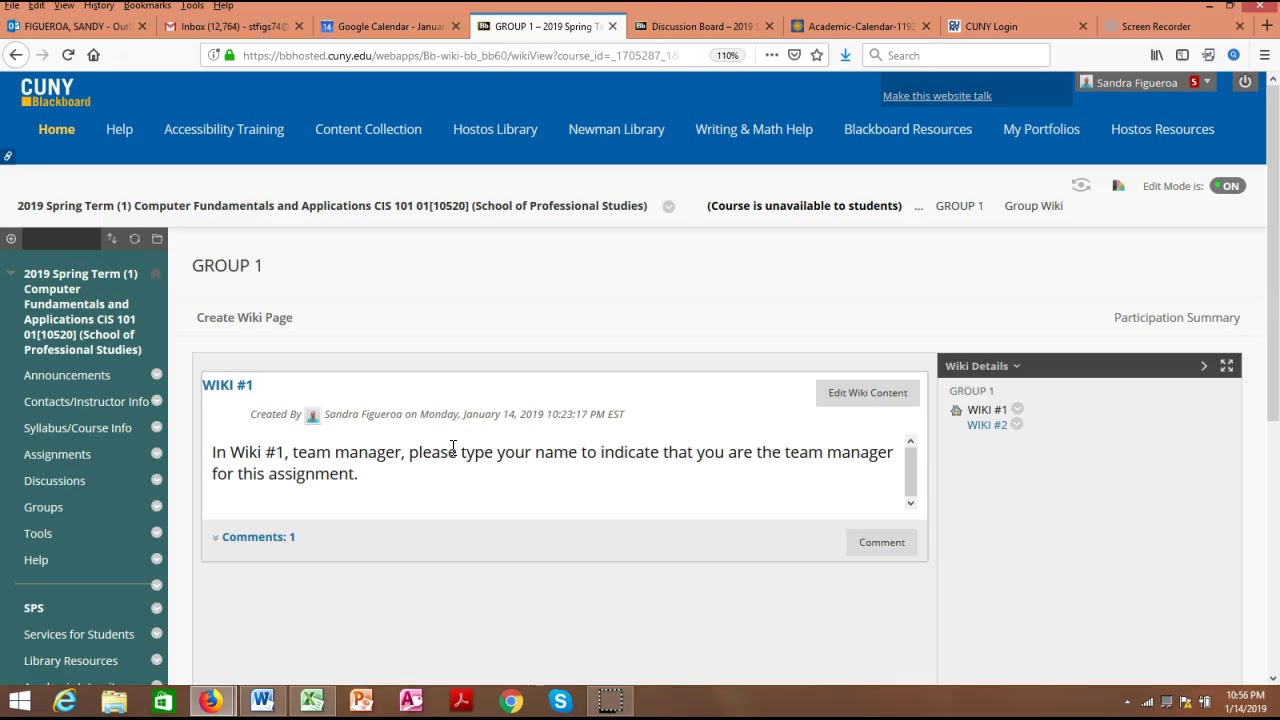 CIS 101 GROUP ASSIGNMENT