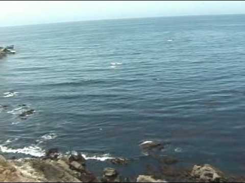 The Underwater Hunter: A documentary by Ernest Ongaro