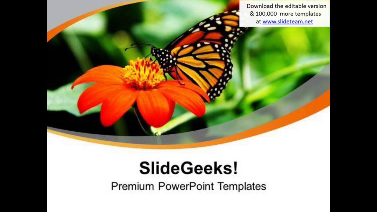 background with flower and butterfly happiness powerpoint templates ppt backgrounds for slides 0413