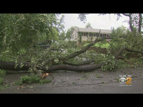 Storm Cleanup In Millstone Township, N.J.