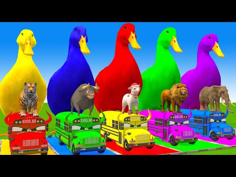 5 Giant Duck Cartoon,Cow,Elephant,Tiger,Lion,Dinosaur,Paint Wild Animals Crossing Fountain Animation