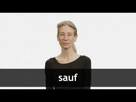 English Translation of “SAUF” | Collins French-English Dictionary