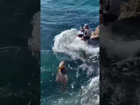 Jaw-Dropping Land-Based Grouper Fishing Adventure!