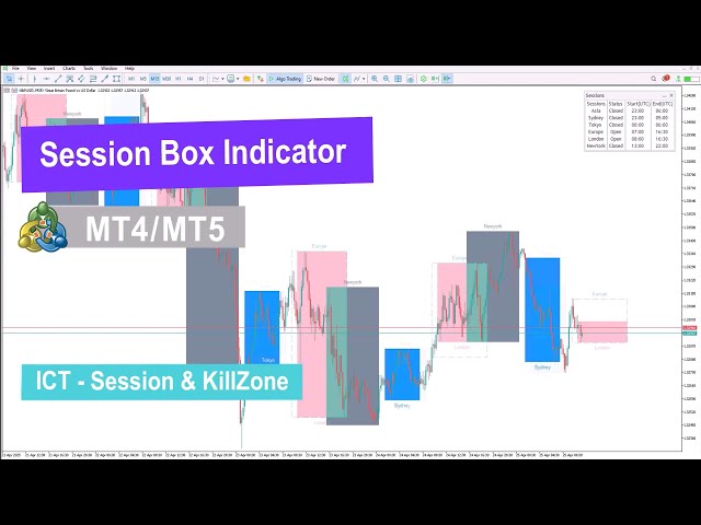Understanding the Session Box Indicator for MetaTrader 4/5 | Galaxy