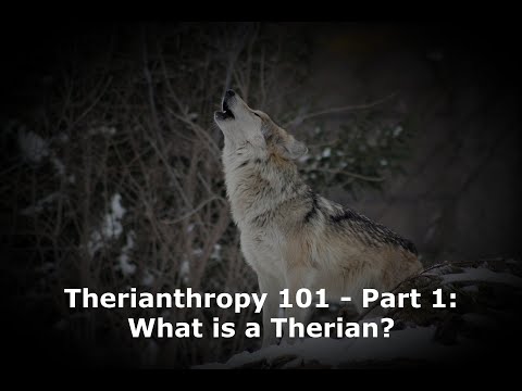 Therianthropy 101 - Part 1: What is a Therian?