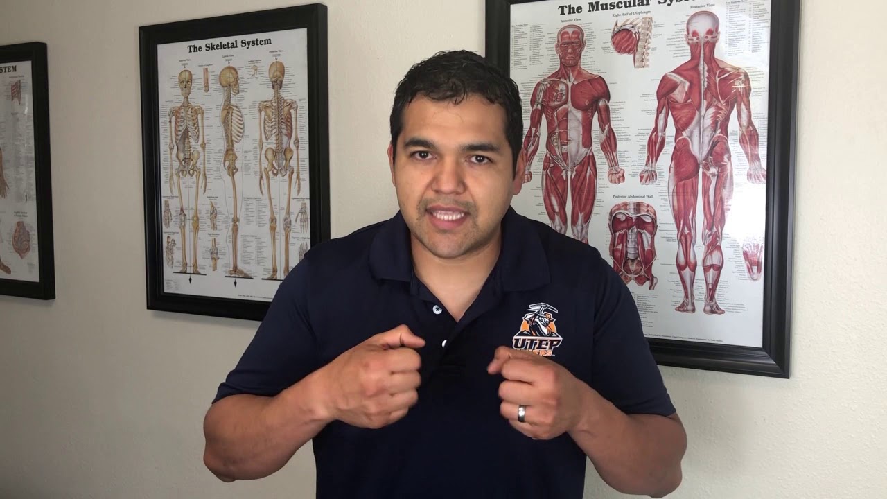 The Single Most Important Lower Back Exercise