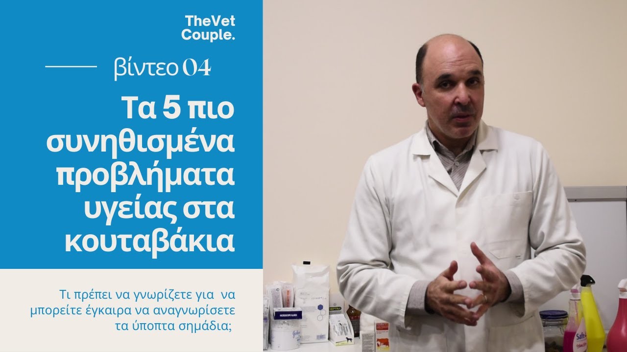 Τα 5 πιο συνηθισμένα προβλήματα υγείας στα κουταβάκια - TheVetCouple