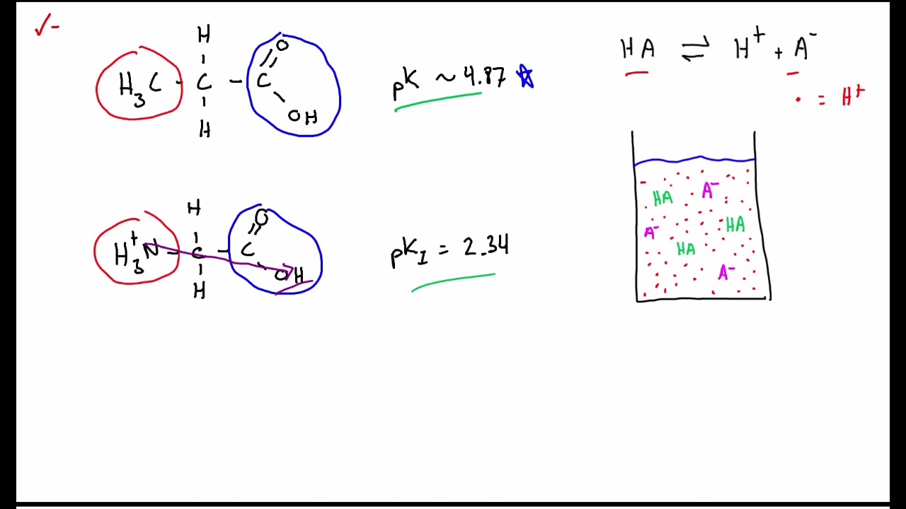 BC351 - Worksheet #2