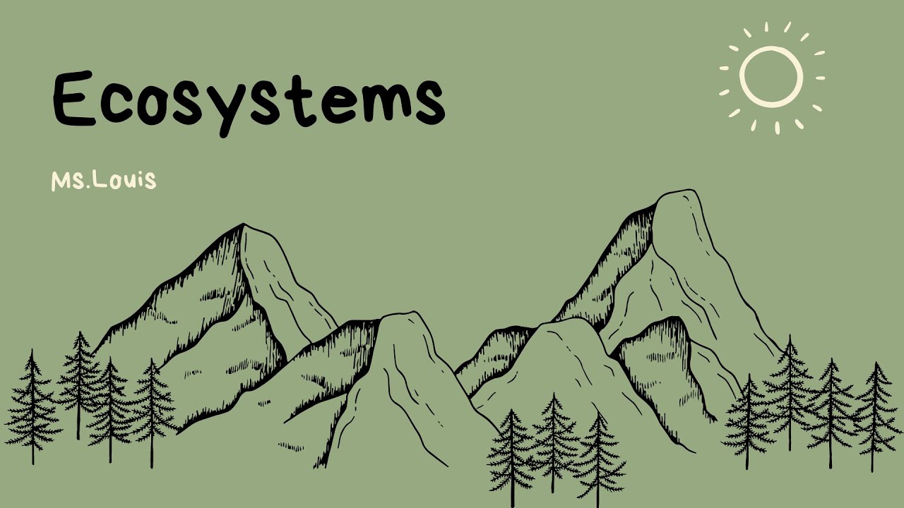 Grade 3 Ecosystems Overview