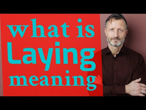 Laying | Meaning of laying 📖 📖 📖 📖 📖 📖