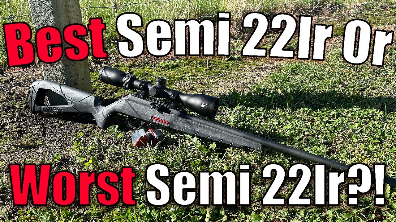 Winchester Wildcat 22LR (One Year Later Review)