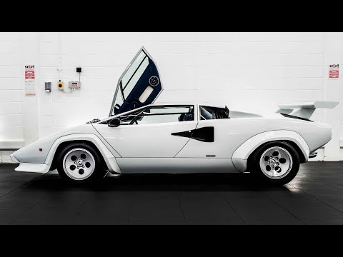 See What It's Like to Detail Highly Valuable White Lamborghini ...