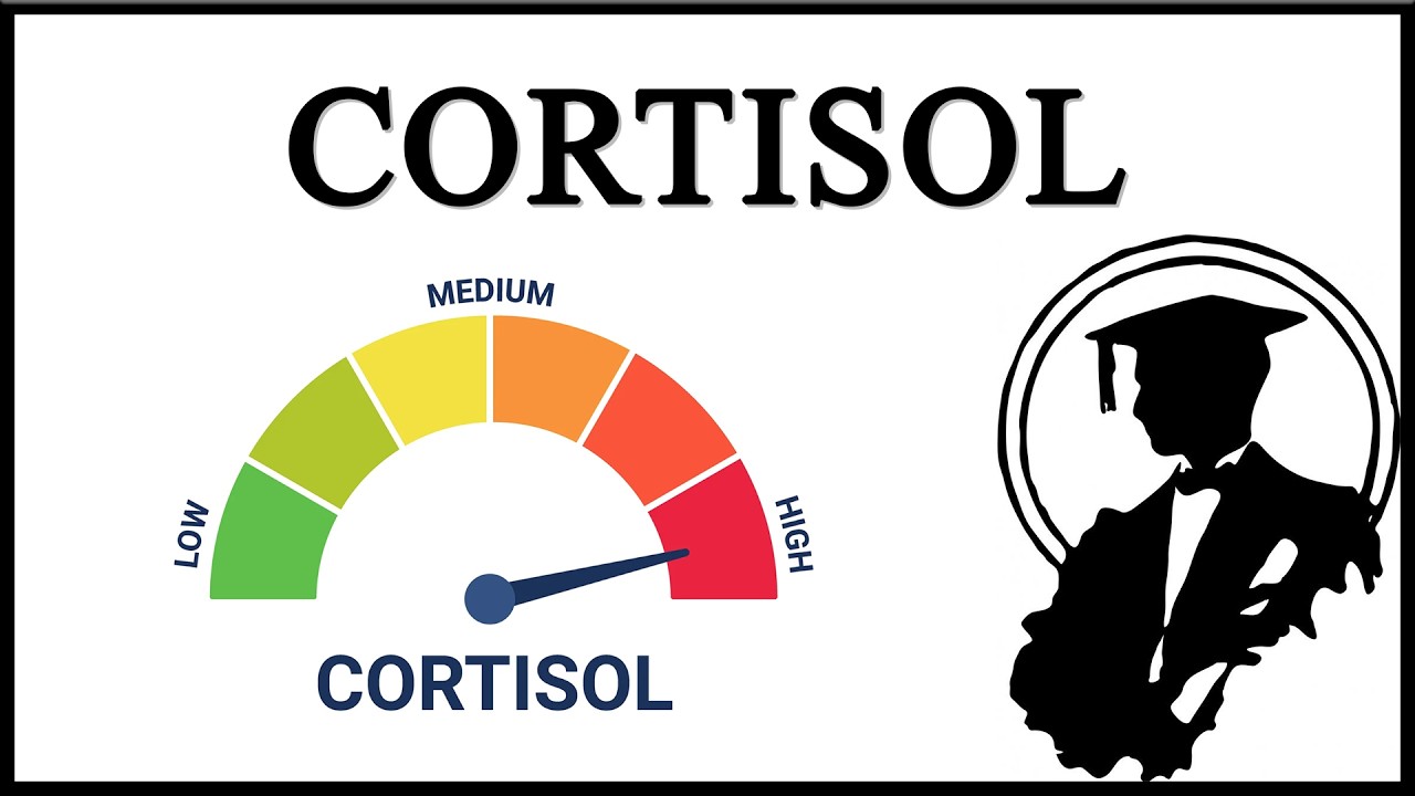Is Your Cortisol High or Low?