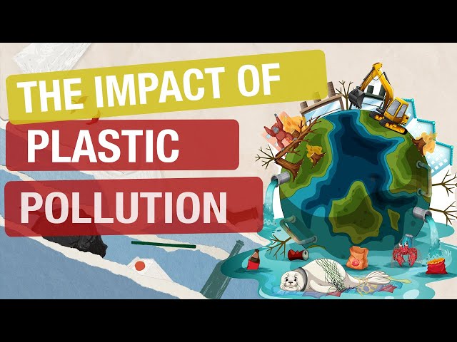 Understanding Plastic Pollution: Causes, Effects, and Solutions | Galaxy.ai