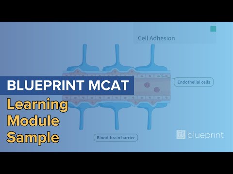 Blueprint MCAT Learning Module Sample: Non-Enzymatic Protein Function