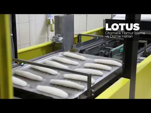 Inter Proofer - Bread & Bakery Intermediate Proofer Latest Price ...