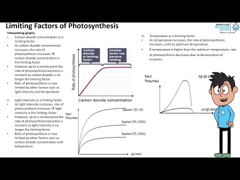 Nutrition in Plants: Limiting Factors of Photosynthesis