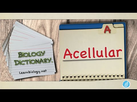 Biology Definitions | Acellular | Biology Dictionary | Defining Acellular