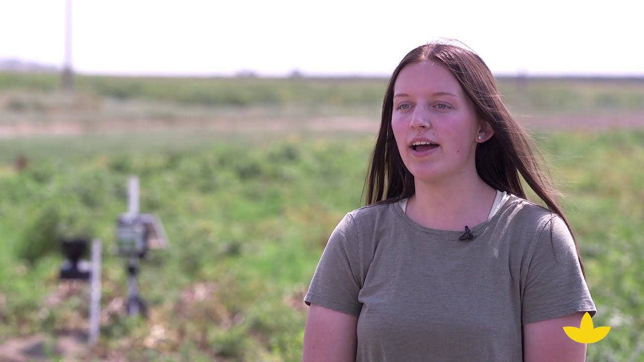 Meet Simplot Agronomy Intern, Morgan