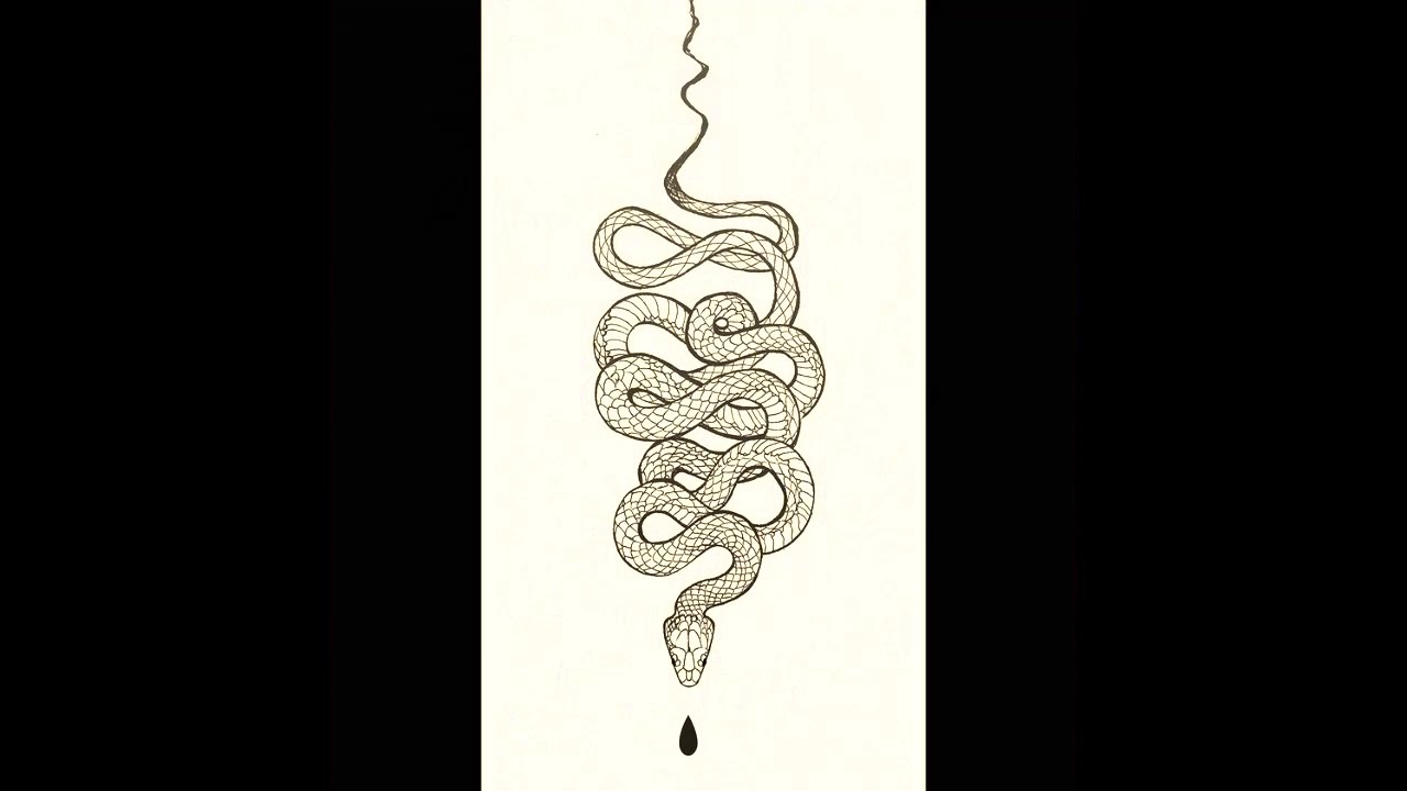 Top 50 Best Snake Tattoo