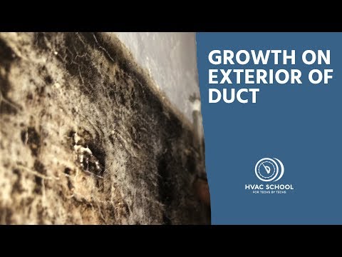 A Duct Moisture Problem Diagnosis (Short)