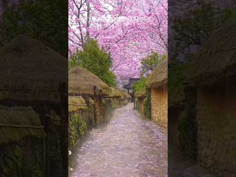 Most Beautiful Places in South Korea