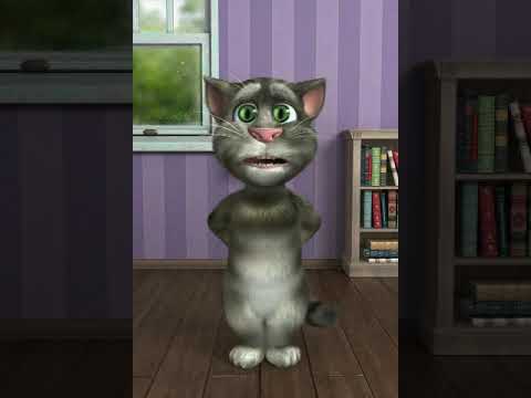 Talking Tom Cat 2 apk
