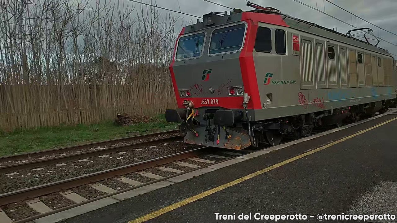 Locomotore Isolato (LIS) Tigre E652.019 MIR in transito a Castagneto Carducci (18/01/2024 ...