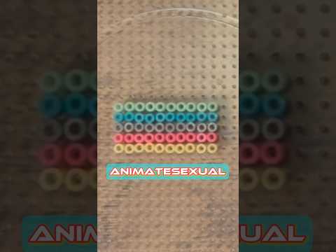 Animatesexual Pride Flag & Definition! | DIY Satisfying Bead Crafting | #animatesexual #xenogender