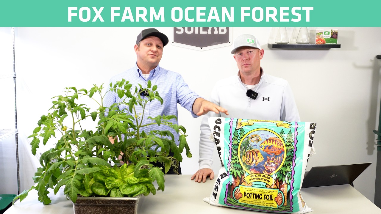 Fox Farm Ocean Forest Potting Soil Testing | Know Before You Grow
