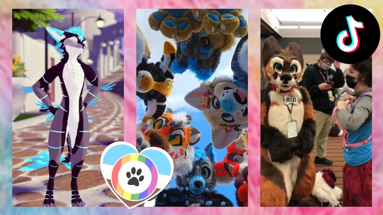 Furry TikToks Compilation #27
