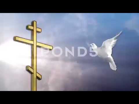 Dove White Christian Symbol Loop